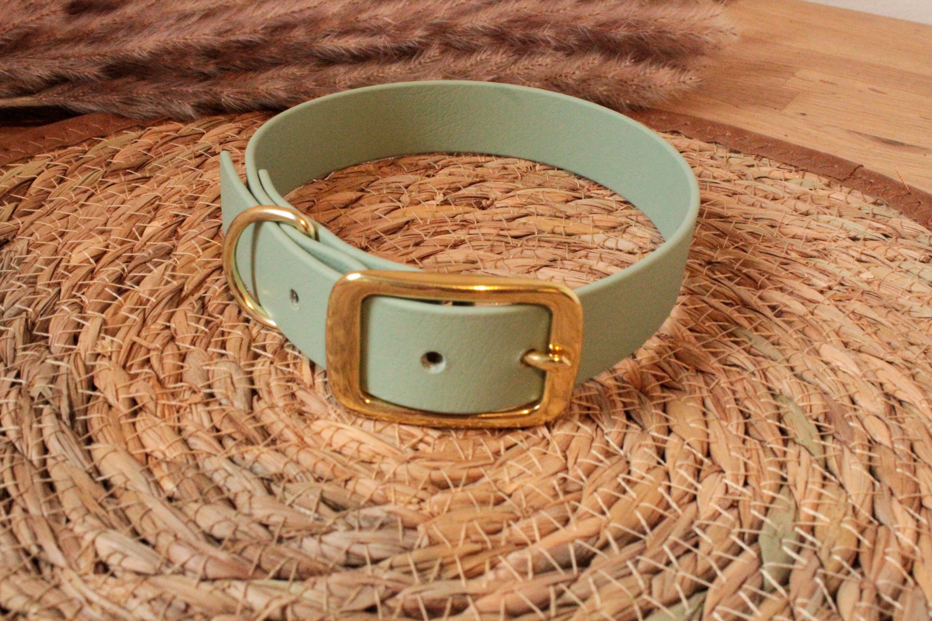 Biothane® Halsband 'Easy' - Pinpep – PinPep